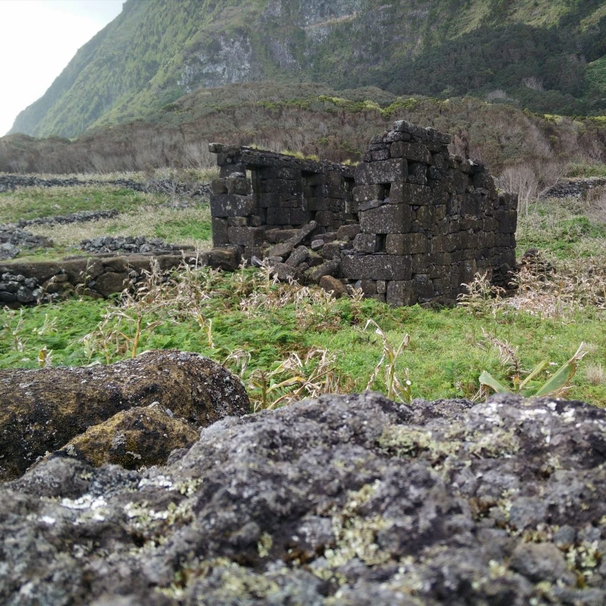 “Volta à Ilha” – São Jorge - Land Tours