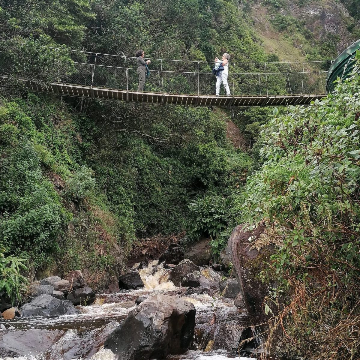 “Volta à Ilha” – São Jorge - Land Tours