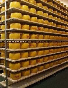 São Jorge Cheese Tour – Half Day - Land Tours